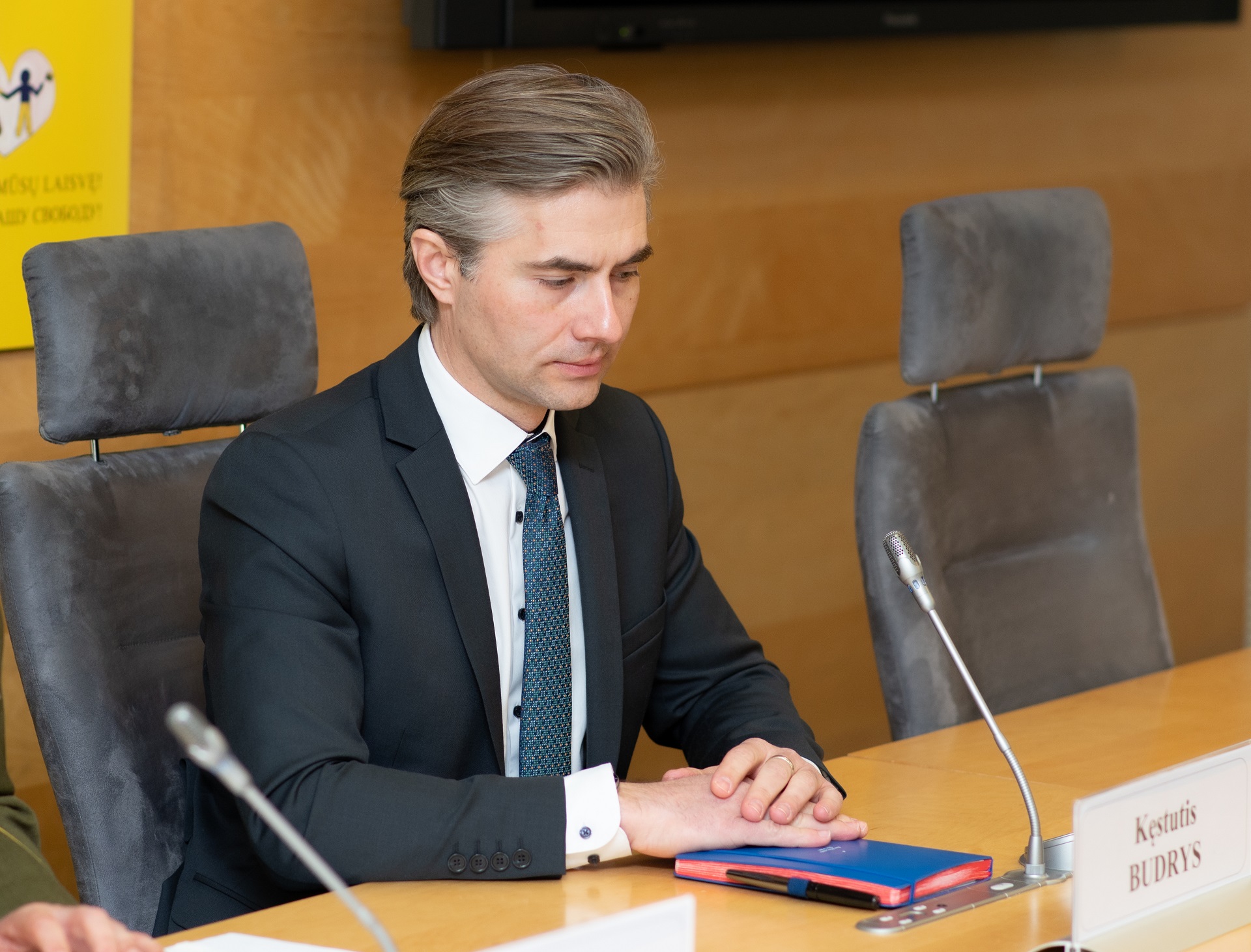 K. Budrys: būtų naivu sakyti, kad karių siuntimas į Ukrainą nėra ...